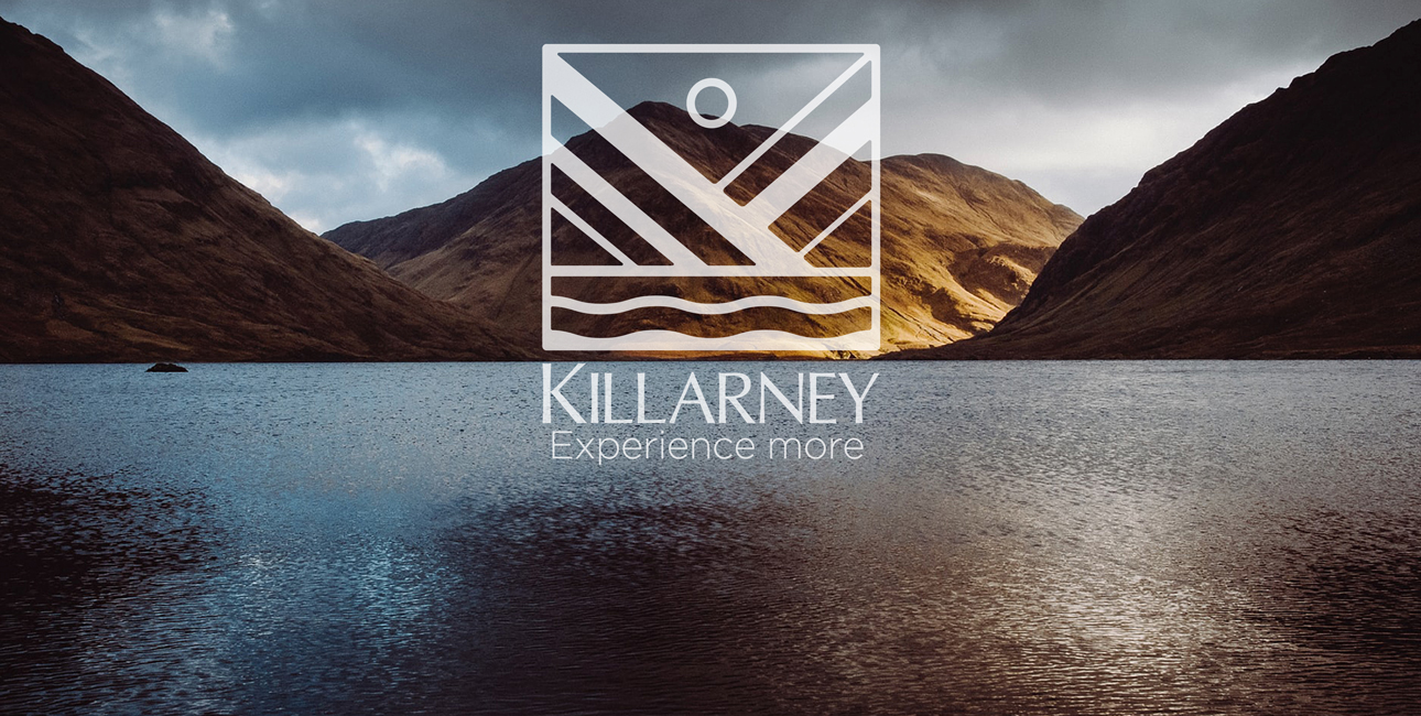 Creating a Destination Brand – Trinity Brand Group Website